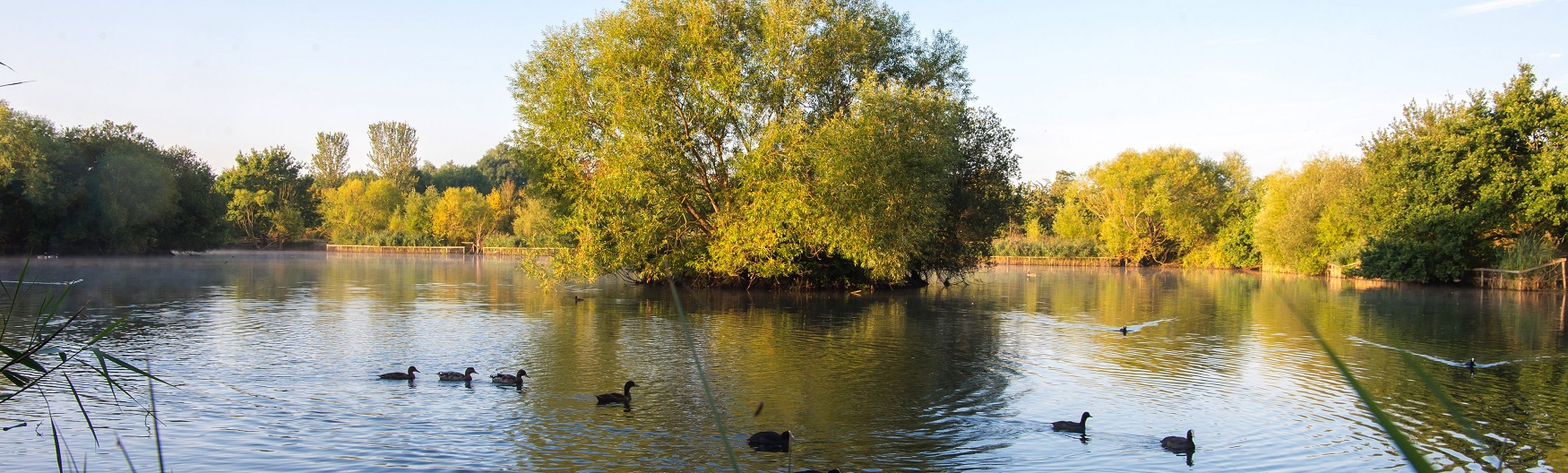 London Borough of Havering – London Borough of Havering